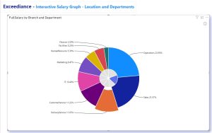 19 Data Analytics Visuals For Stunning Graphs and Charts - Exceediance